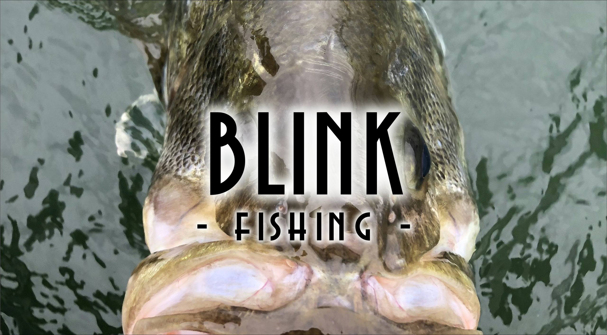 BLINK | バスフィッシング情報データベース